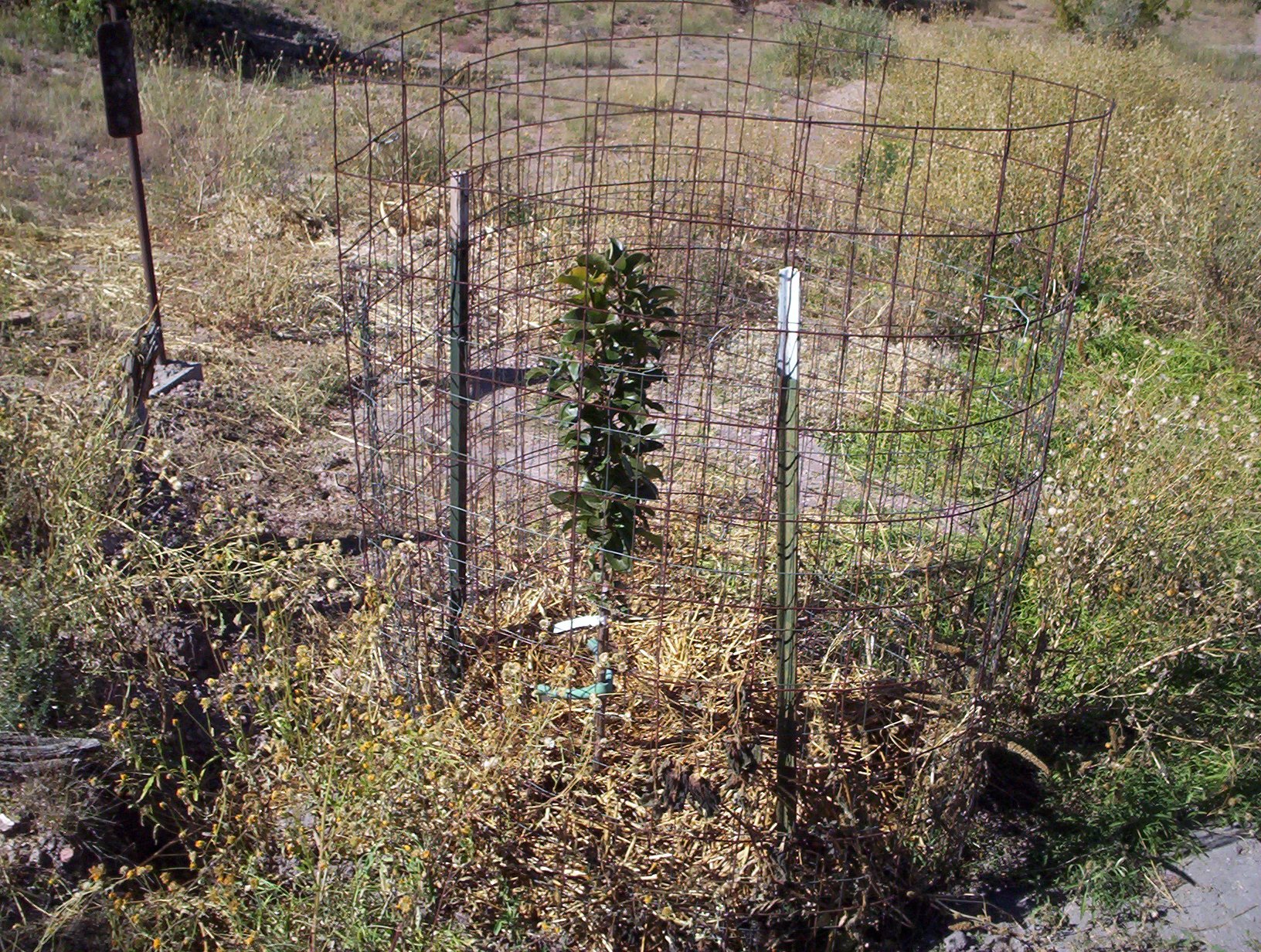 Monsoon’s finally over, time to do something less dramatic with the ...